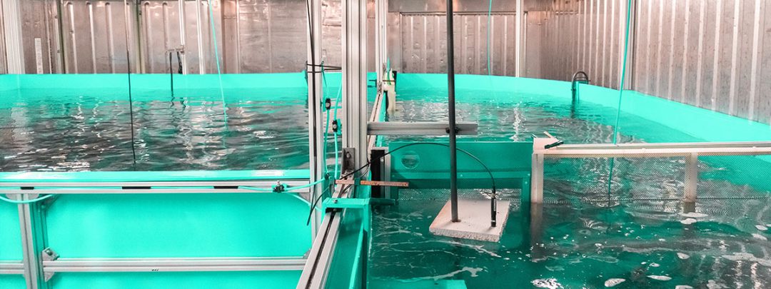 Smart fish farming tanks for efficient aquaculture systems